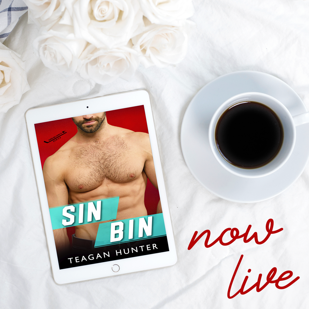 Sin Bin by Teagan Hunter – 5 Star Hockey Romance – Kelly's Book Blog